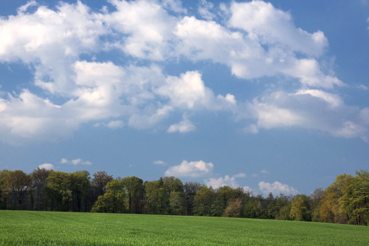 Landschaft Bäume - kostenlose Bilder download | titania foto