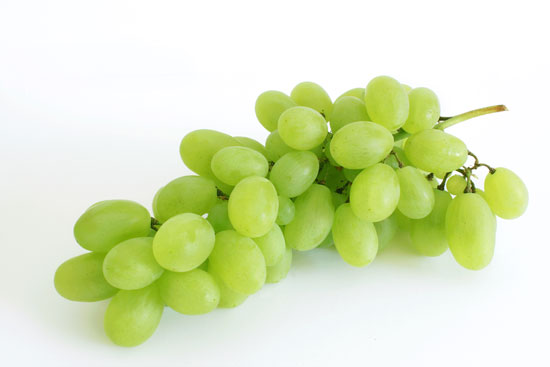 Weintrauben - kostenlose Bilder download | Titania Foto