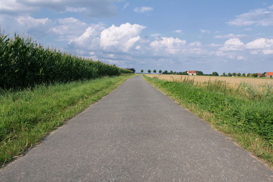 Weg Felder - Bilder kostenlos zum Download | Titania Foto