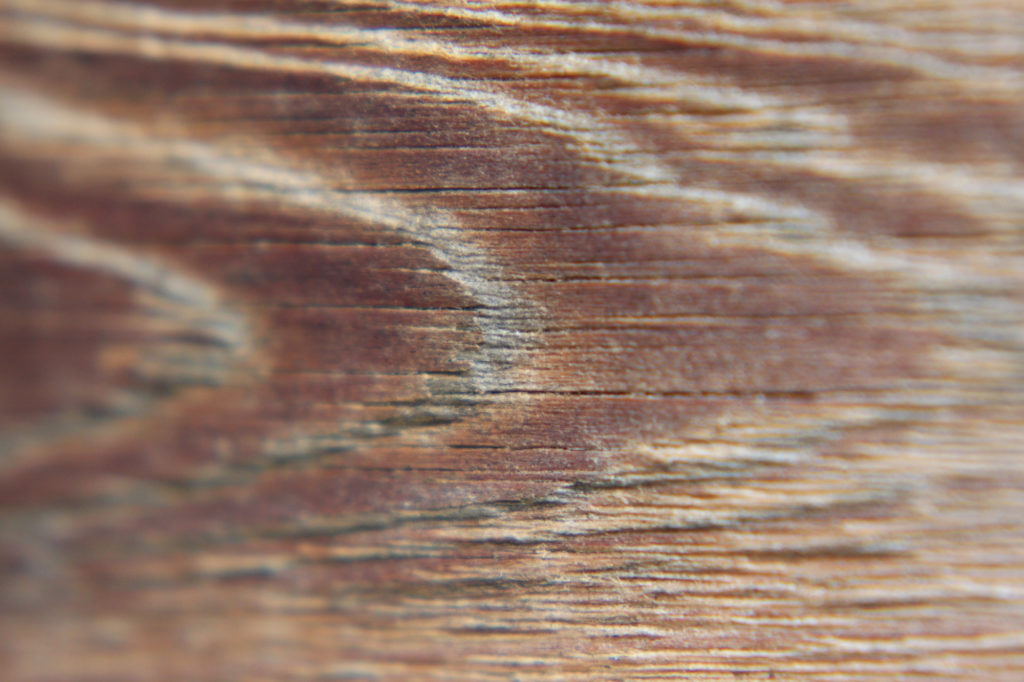Holzmaserung - kostenlose Bilder download | Titania Foto
