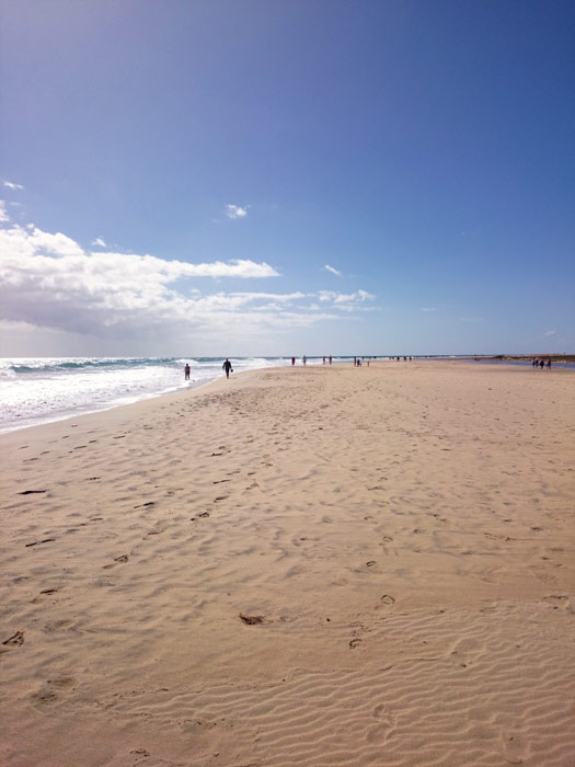 Strand Sommer - Bilder kostenlos zum Download | Titania Foto